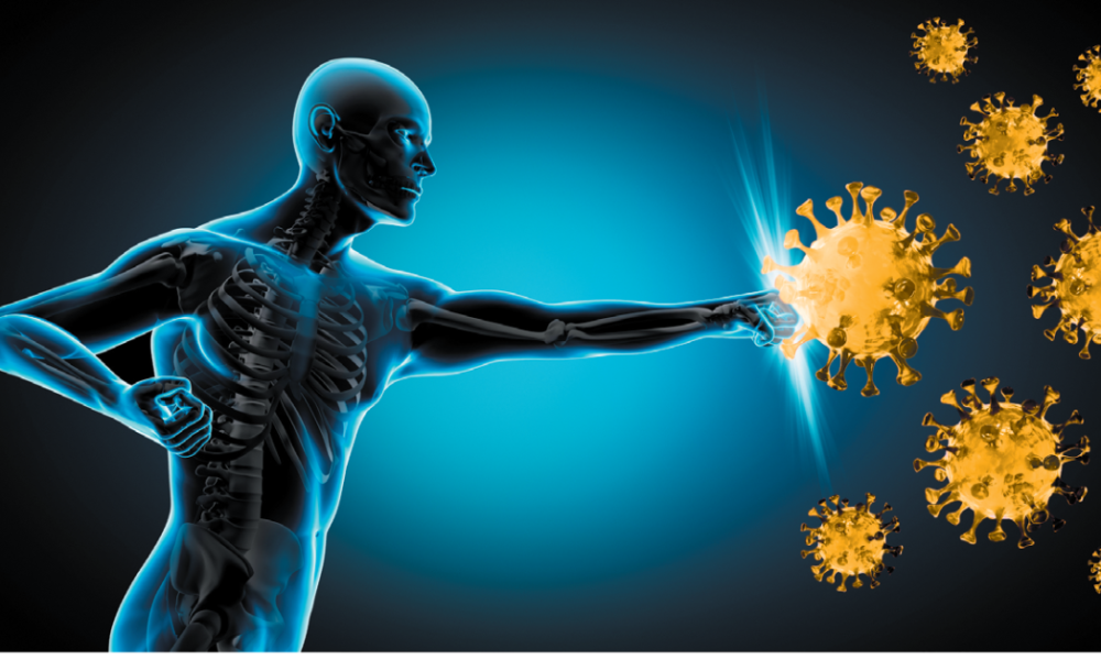 Unlocking the Power of Body Supplements: Essential Insights for ...